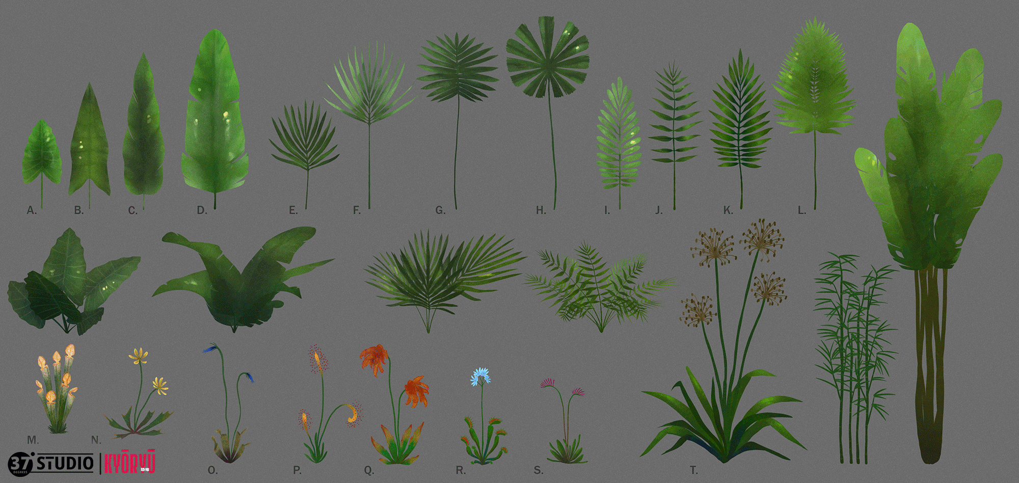 37Degrees Kyoryu Game Leaves Design Colours – 37Degrees Studio